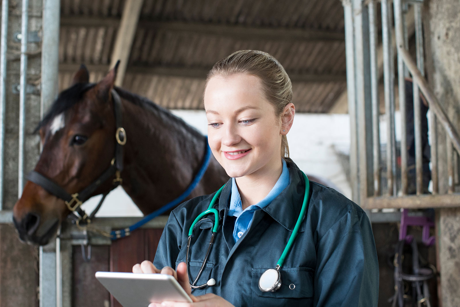 Veterinary Inventory Management - Vet Clinic
